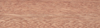 Holzarten • Dietel Bauelemente GmbH
